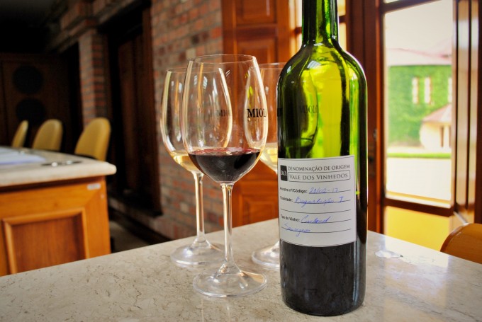 Vale dos Vinhedos • Blog • Ano da Aprovale encerra com avaliação de ...